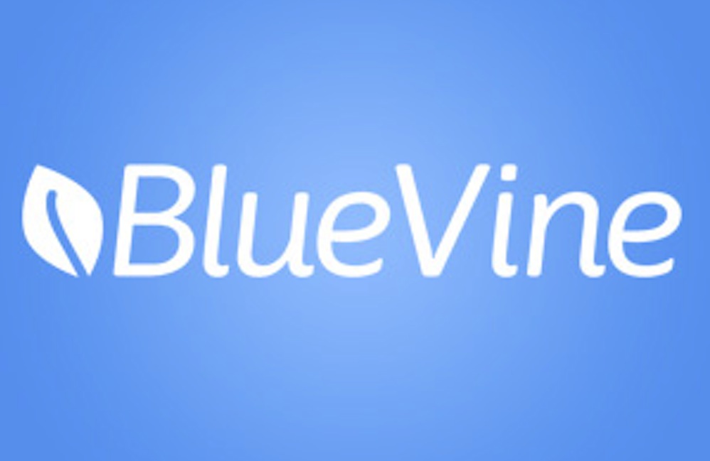 BlueVine's 2017 Ambitions