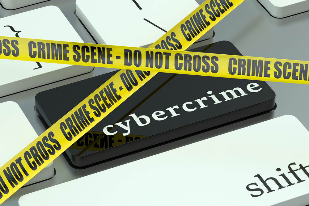 PYMNTS | G20 Agrees To Jointly Fight Cybercrime