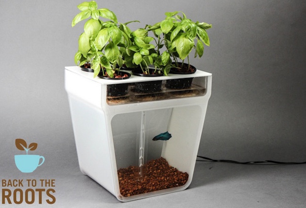 Back to the Roots Adds Magic to Natural Foods