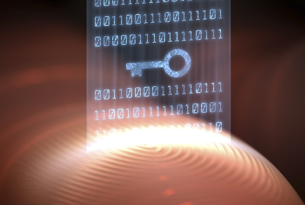 Visa Launches Visa ID Intelligence