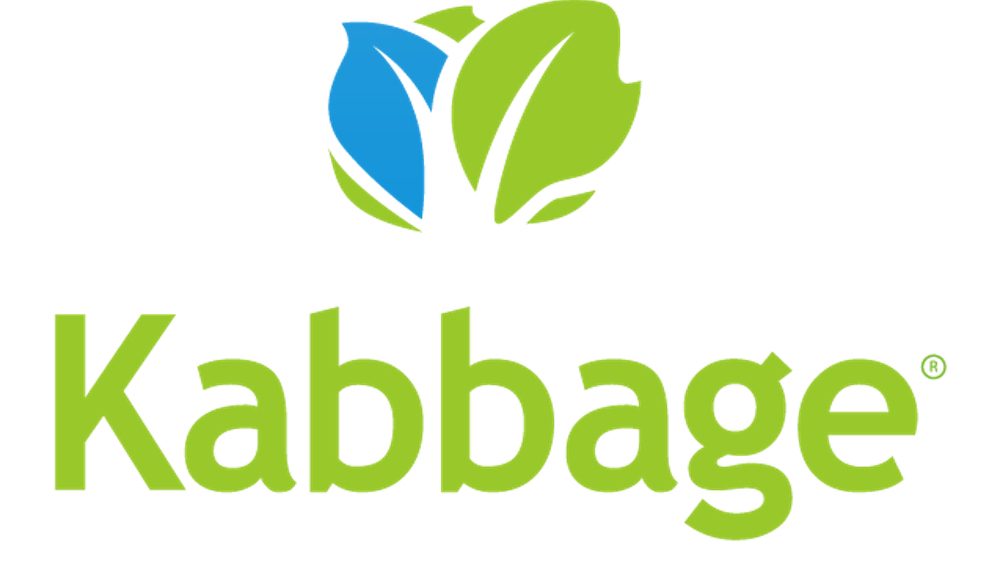Kabbage To Launch Payment Processing Services | PYMNTS.com