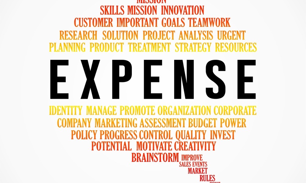 Not Fraud, But Questionable Expenses Indeed