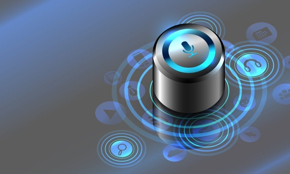 Amazon Among Firms Launching Voice Initiative