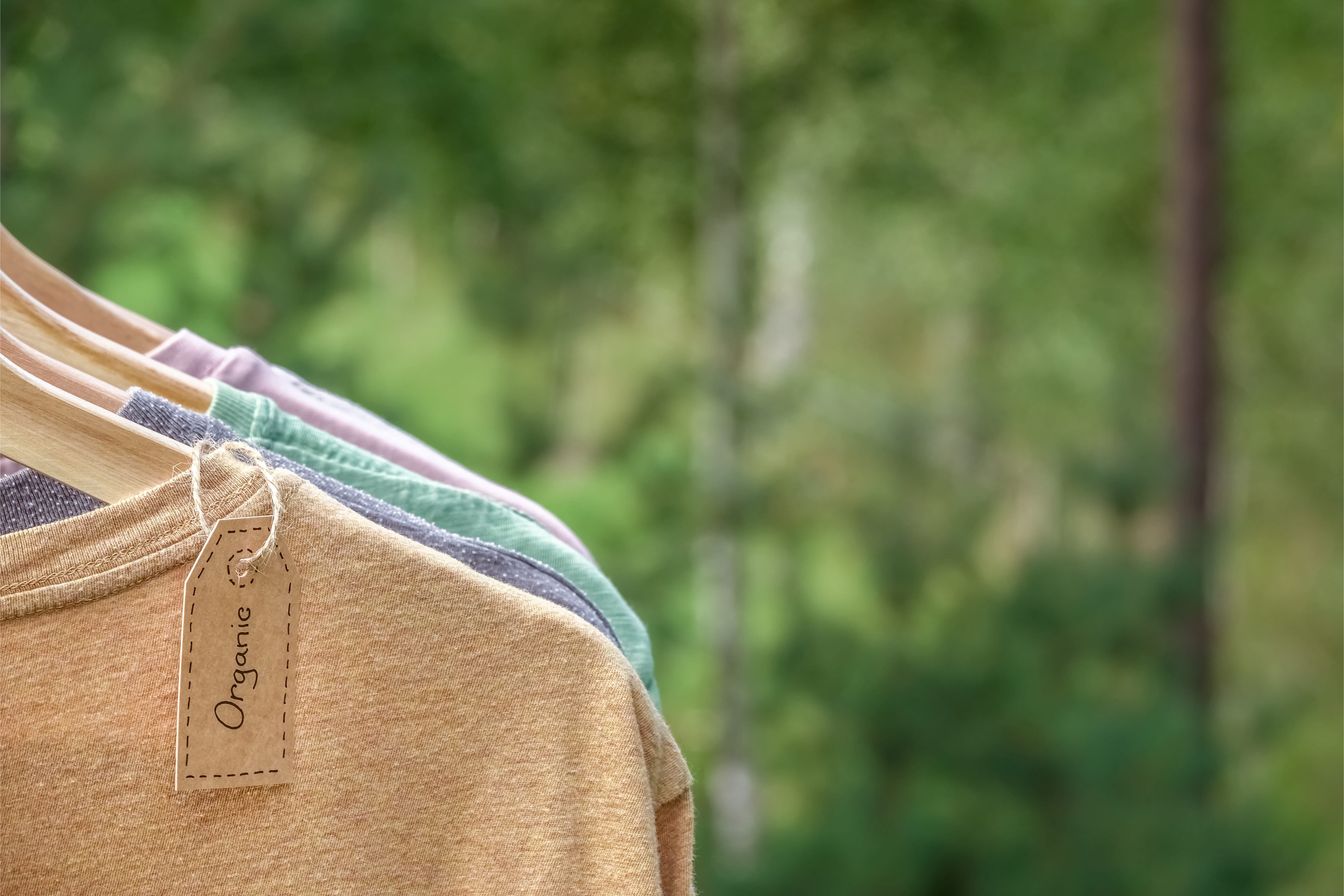 PYMNTS | Changing Sustainable Fashion And Local Art