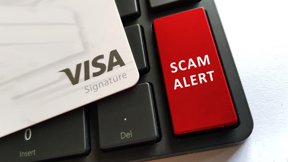 Visa, Secret Service Are Flattening Fraud Curve