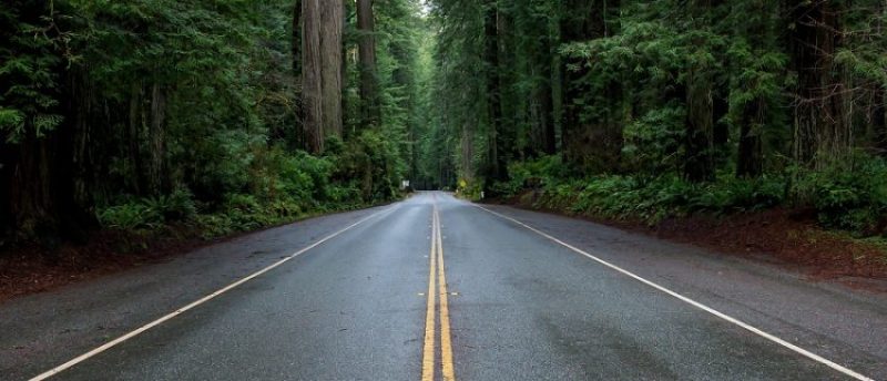 EU Competition Law & the Green Deal: The Consistency Road