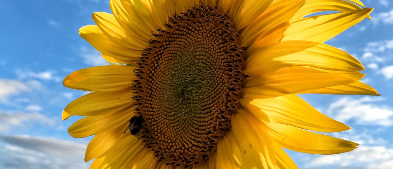 There But for the Grace of God