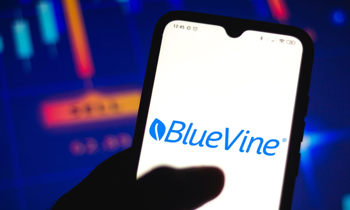 BlueVine Names David Quinn as CFO