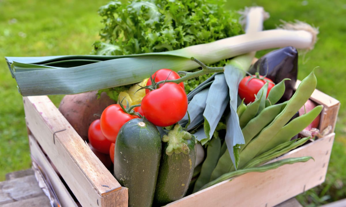 Farm-to-Table Platform Secai Marche Bags $1.5M