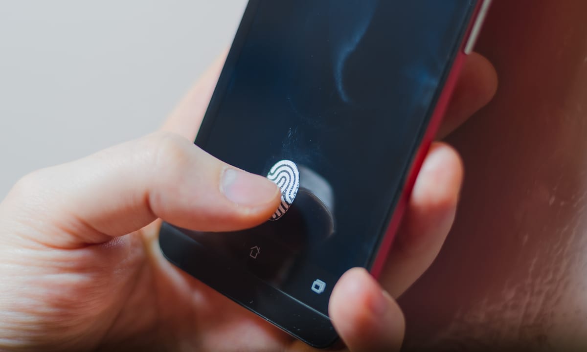 Tapping Biometrics For Enhanced Digital ID