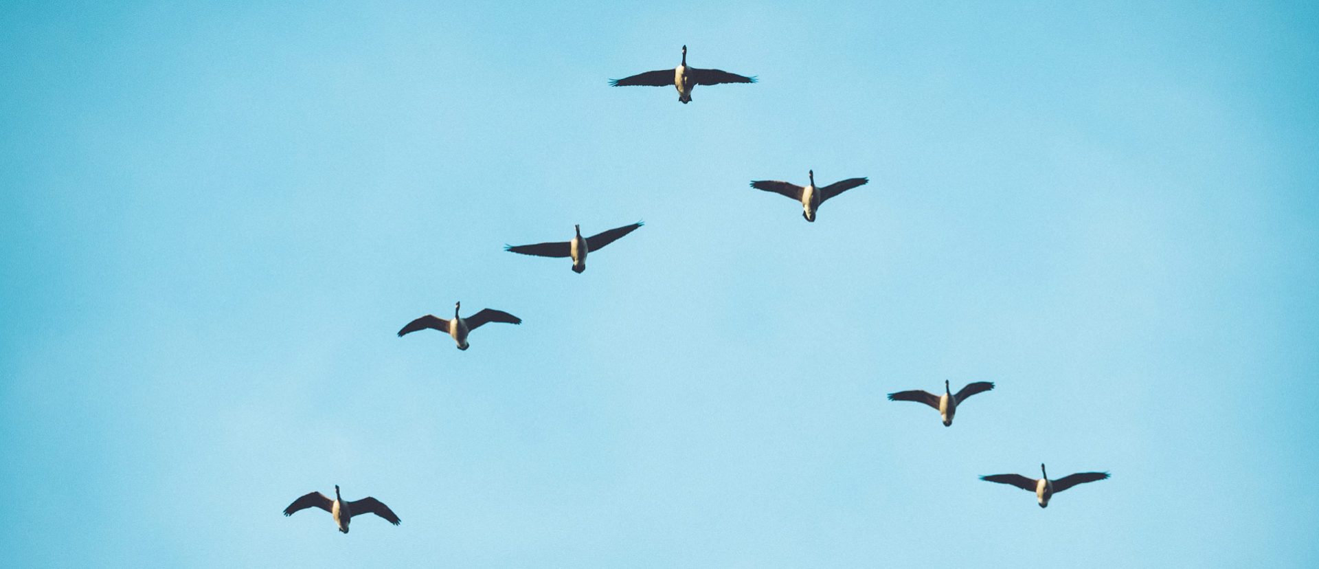 What Can Make Competition Compliance Programmes Really Effective?