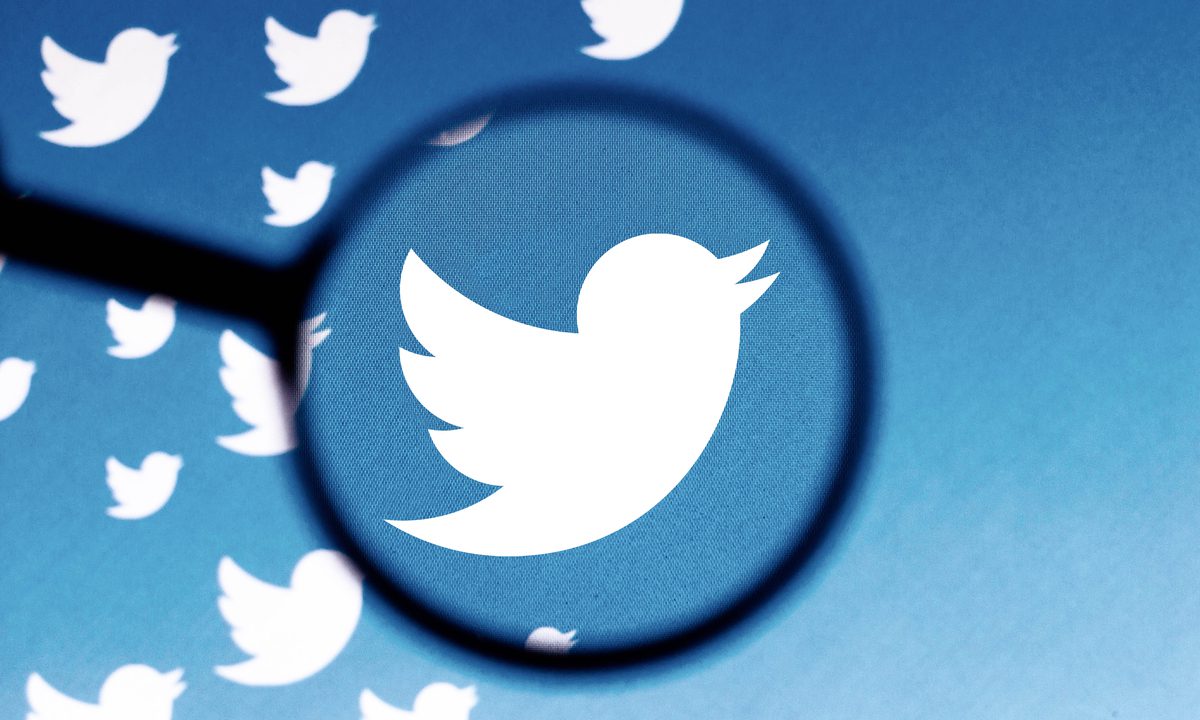 Twitter’s Buyout Pause Shows Verification Need