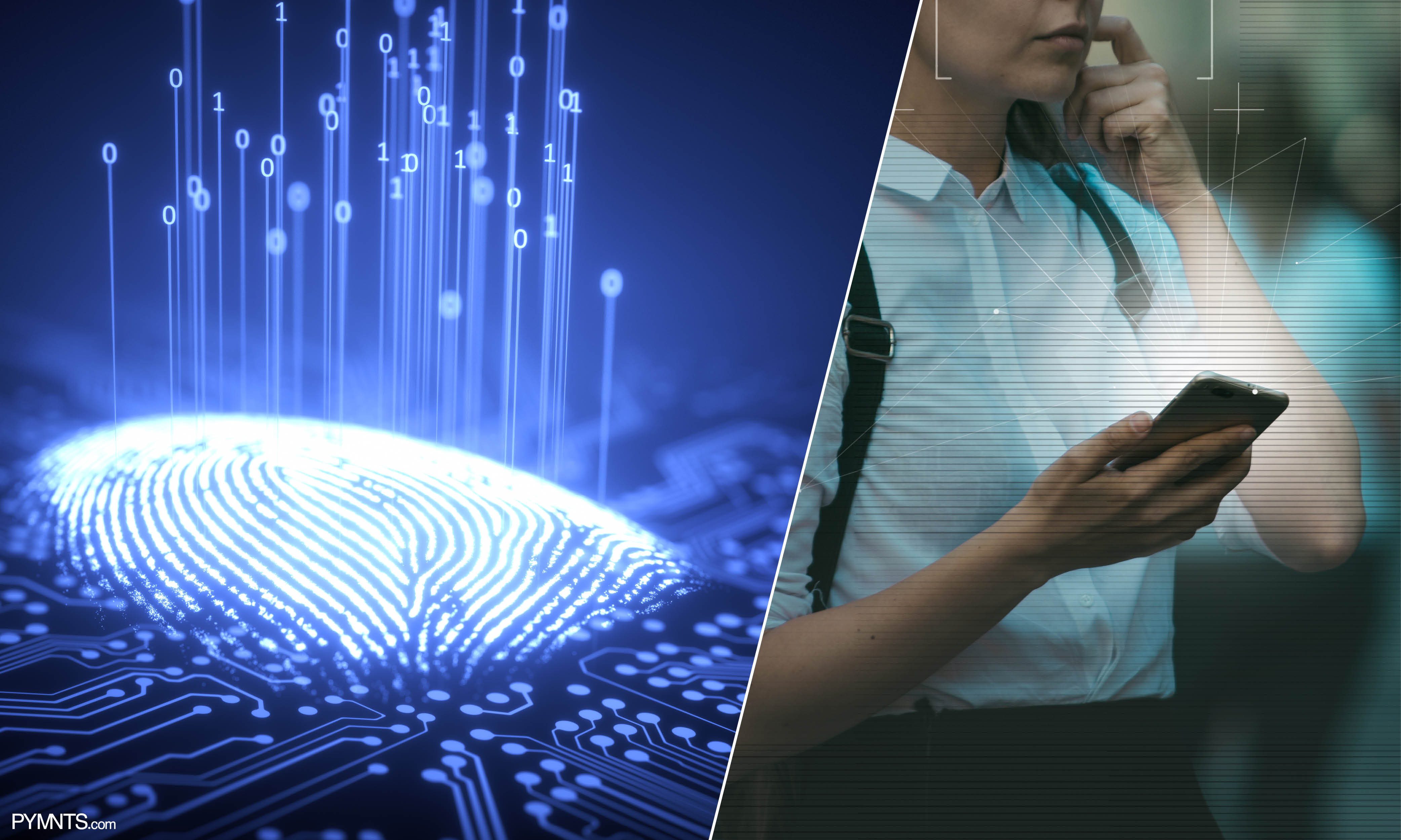 Stopping Fraud With Multilayered Cybersecurity