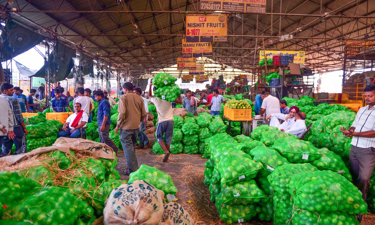 Agritech Market Vegrow Raises $25M for Expansion