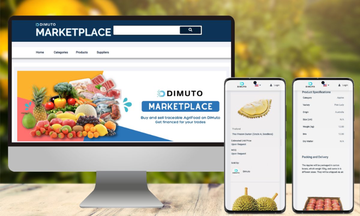 DiMuto Debuts B2B eCommerce Marketplace