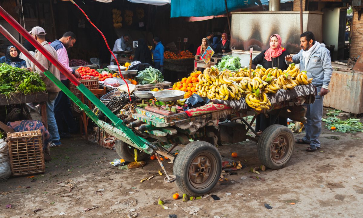 MENA Food Retailers Tap Tech to Improve Supply Chain