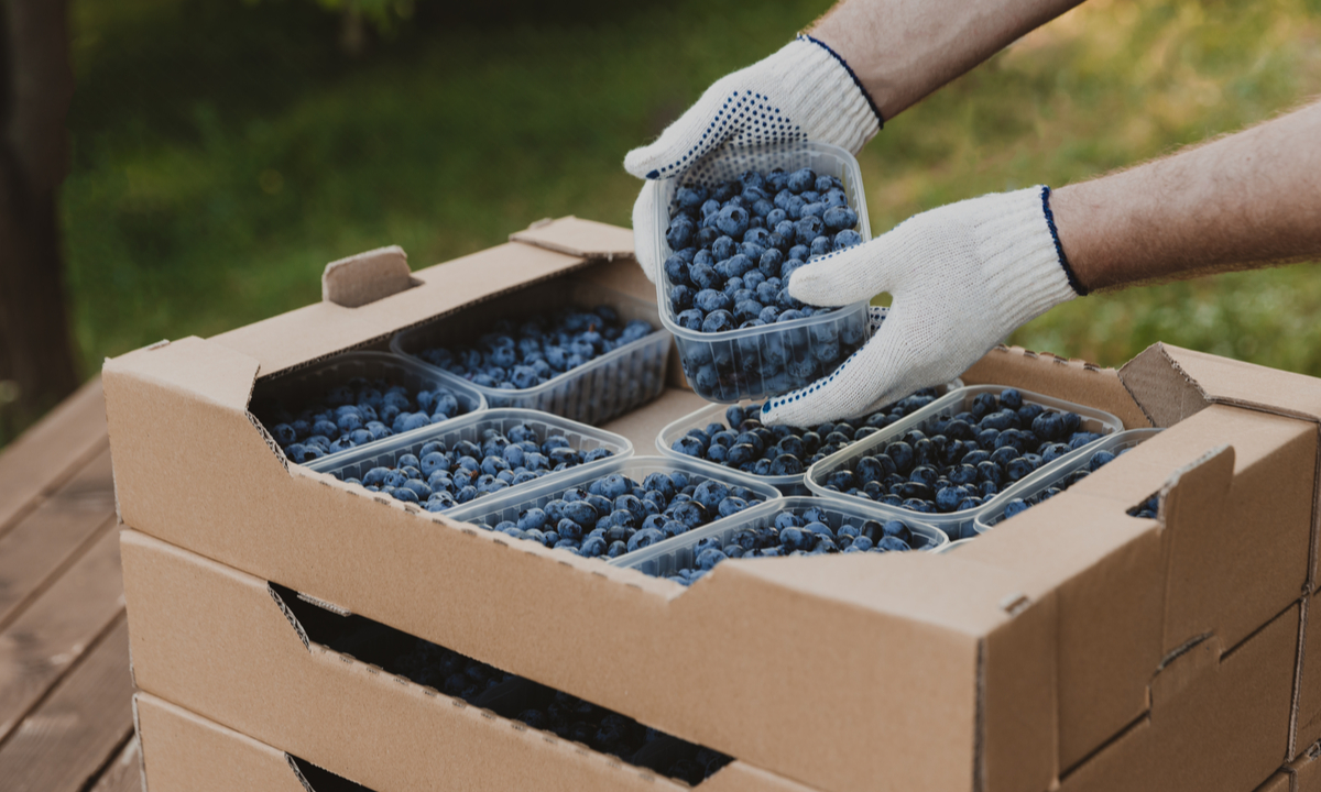 Silo Technologies Raises $132 Million in New Capital