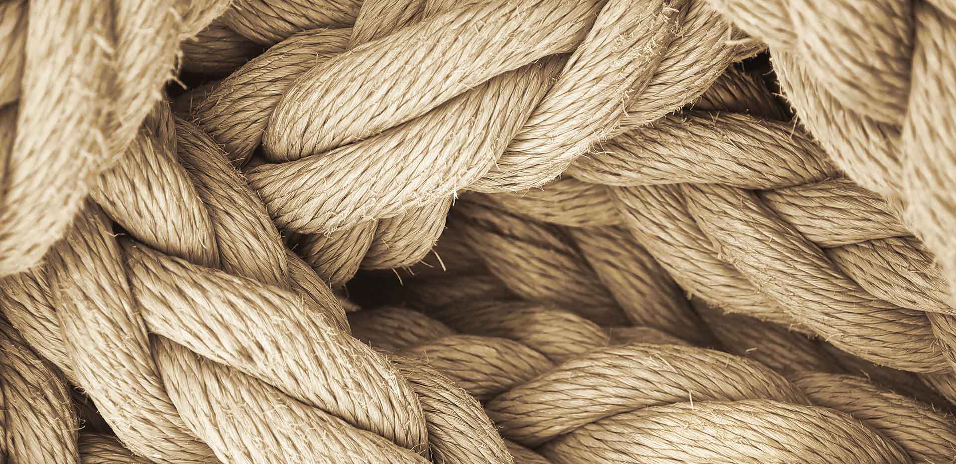 All Tied Up? The Evolving Consumer Protection Focus on Repair Restrictions