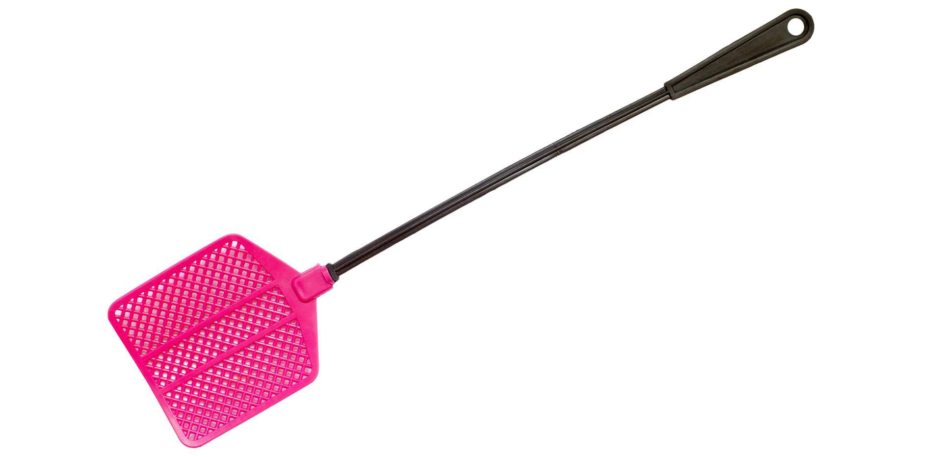 Catching a Killer? Six “Genetic Markers” to Assess Nascent Competitor ...