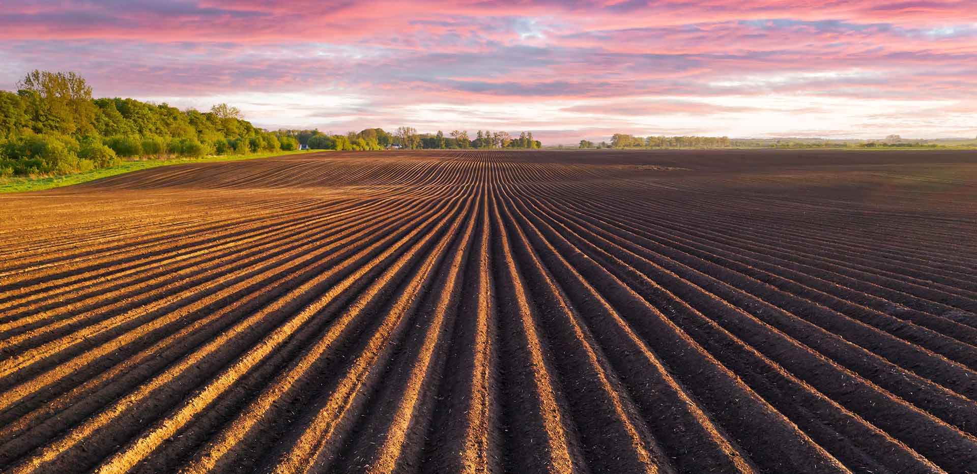 CPI | Ploughing Through: Recent Canadian Competition Bureau Merger Re…